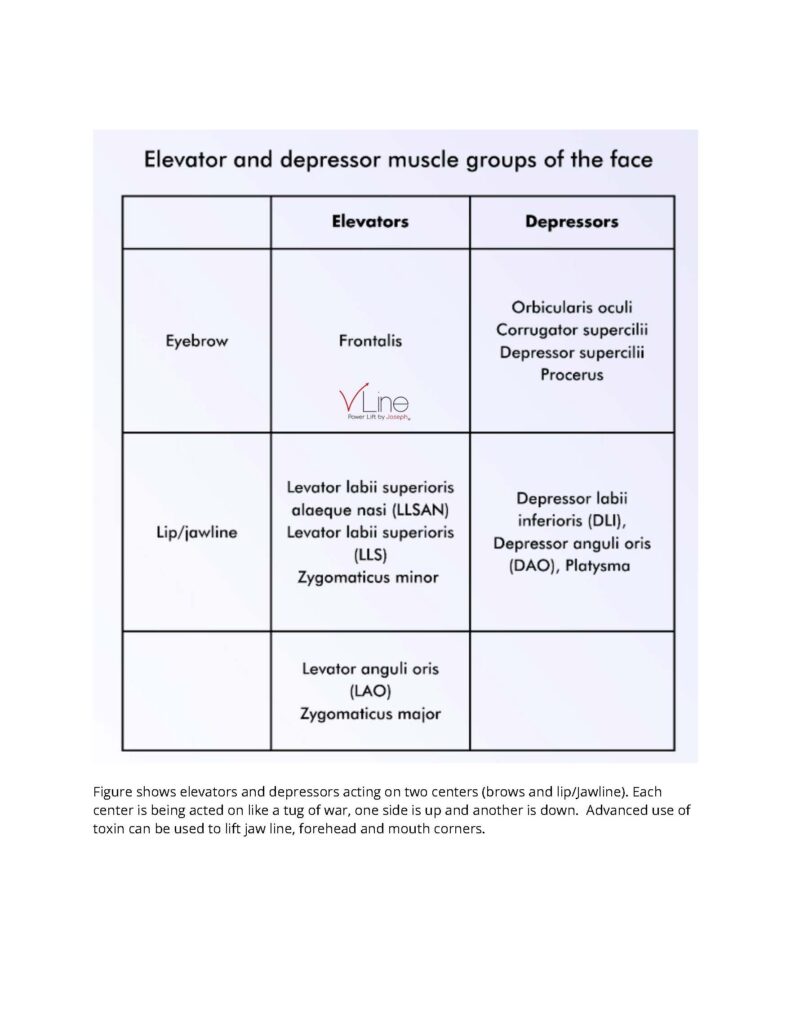 Basic Botox Training Program | V-Line Aesthetics
