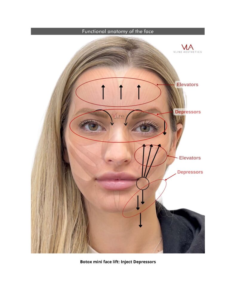 Basic Botox Training Program | V-Line Aesthetics