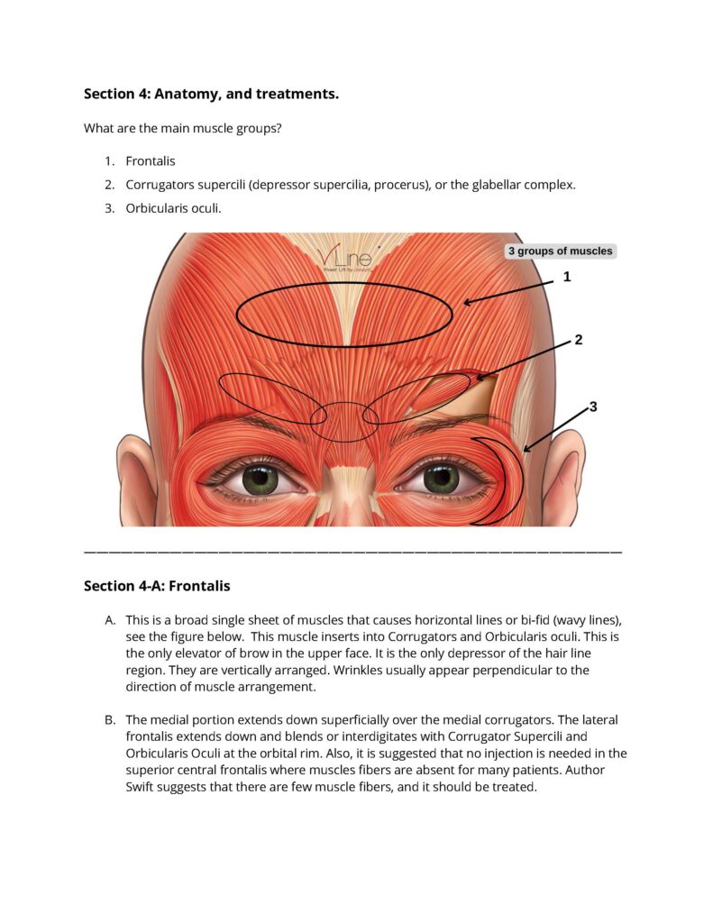 Basic Botox Training Program | V-Line Aesthetics